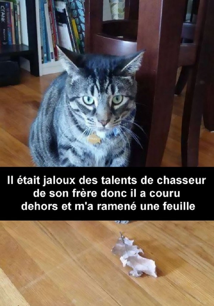 Il était jaloux des talents de chasseur de son frère - Humour-France.fr