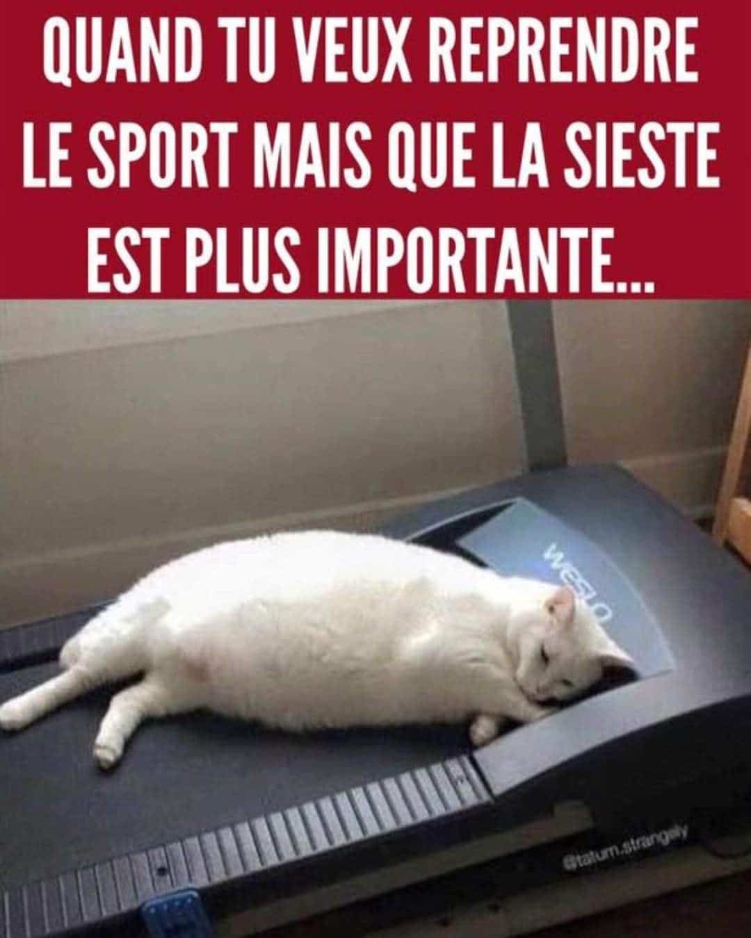 Quand tu veux reprendre le sport - Humour-France.fr