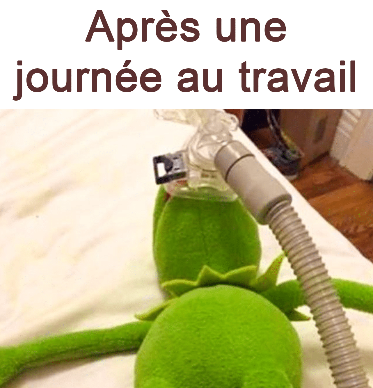 Après une journée au travail - Humour-France.fr