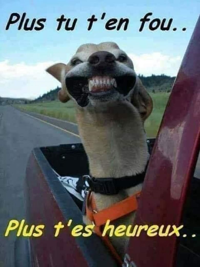 Plus tu t'en fou. Plus t'es heureux - Humour-France.fr