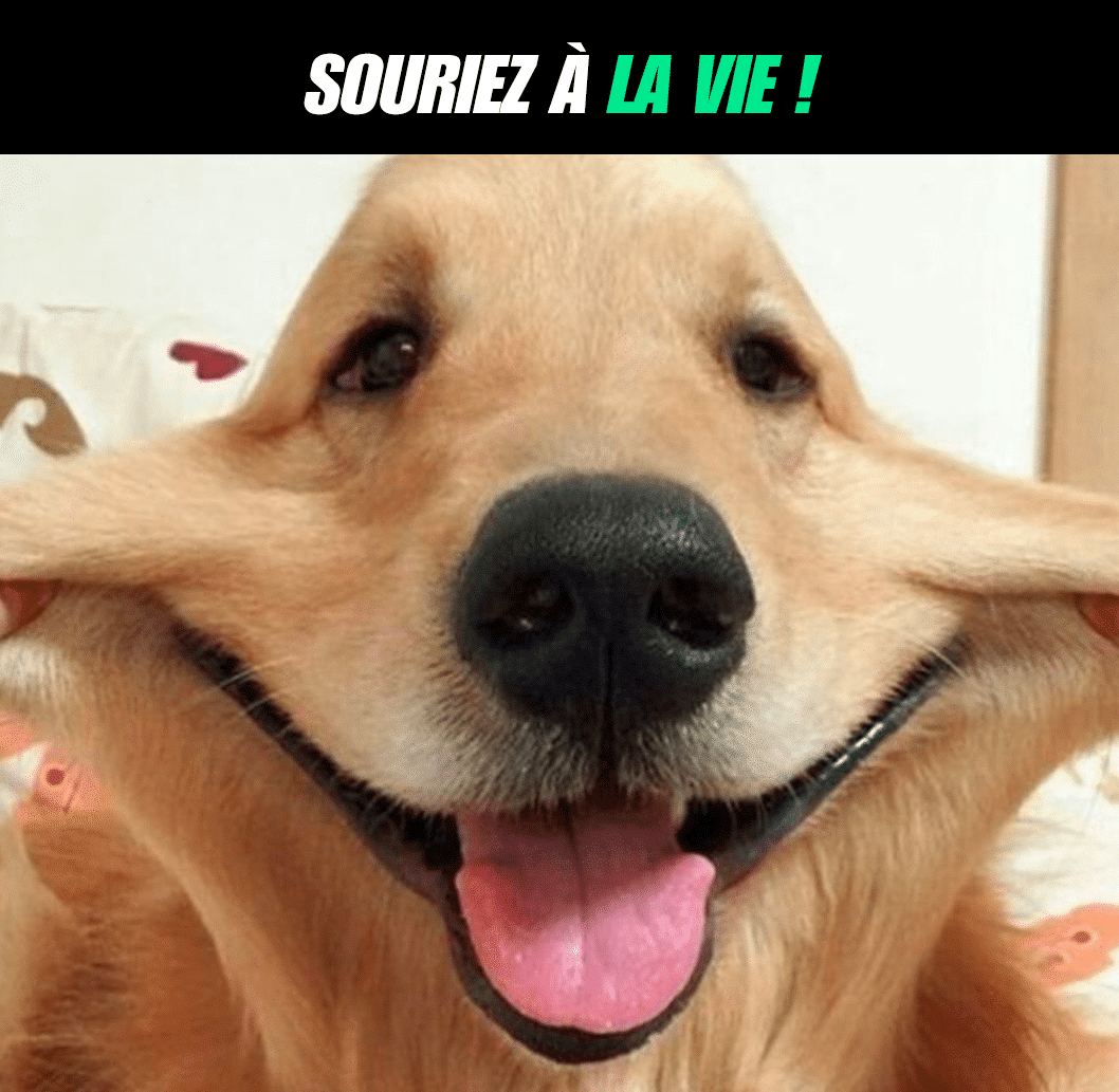 Souriez à la vie - Humour-France.fr