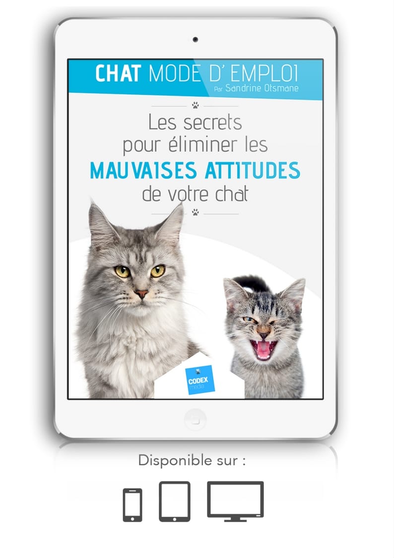 Chat Mode d'Emploi, méthode d'éducation en vidéo - Humour-France.fr
