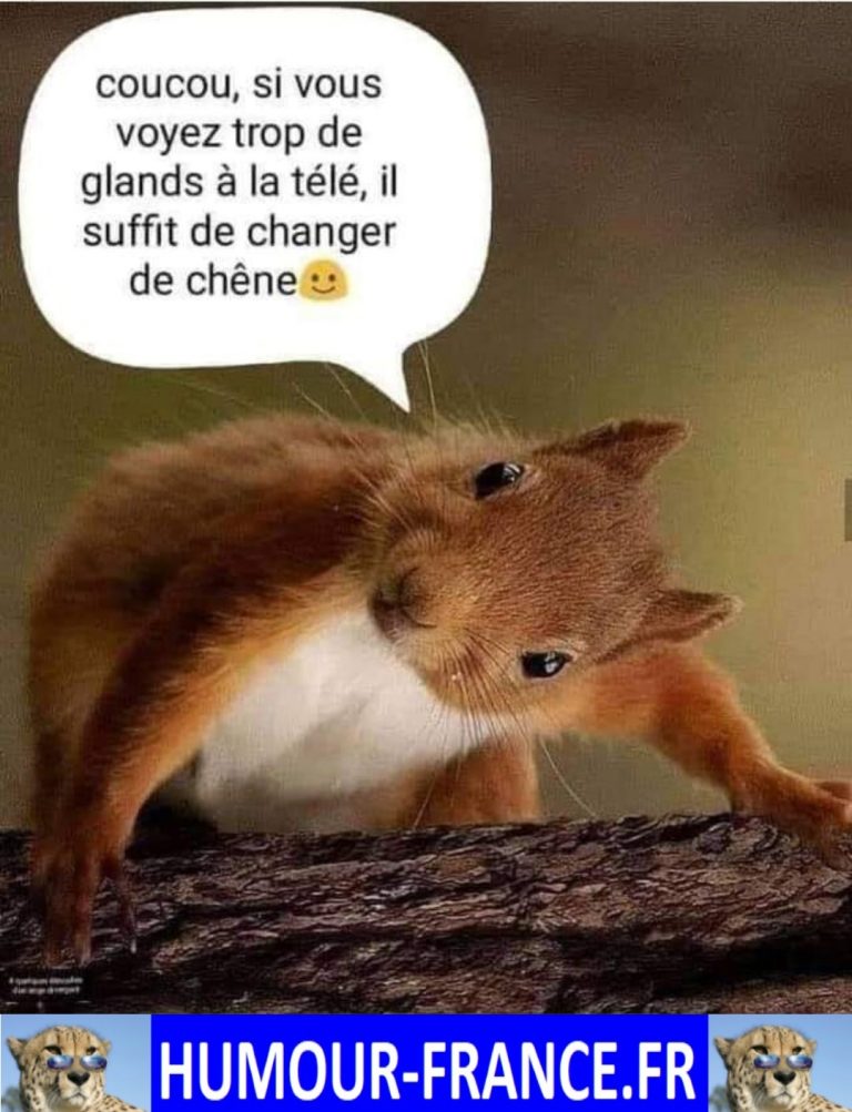 Coucou, si vous voyer trop de gland à la télé … - Humour-France.fr