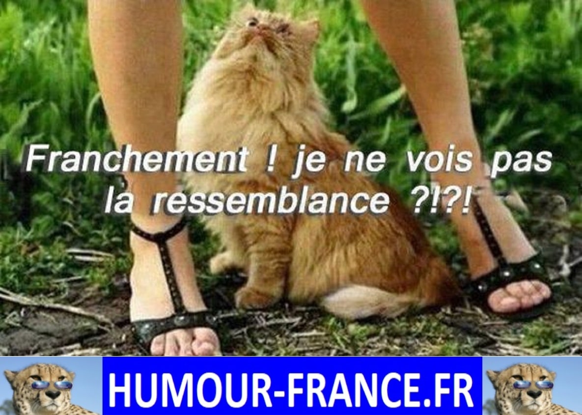 Franchement ! Je ne vois pas la ressemblance - Humour-France.fr