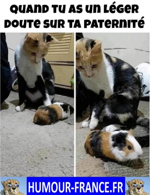Quand tu as un léger doute sur ta paternité - Humour-France.fr