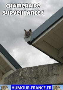 Camera de surveillance ! - Humour-France.fr