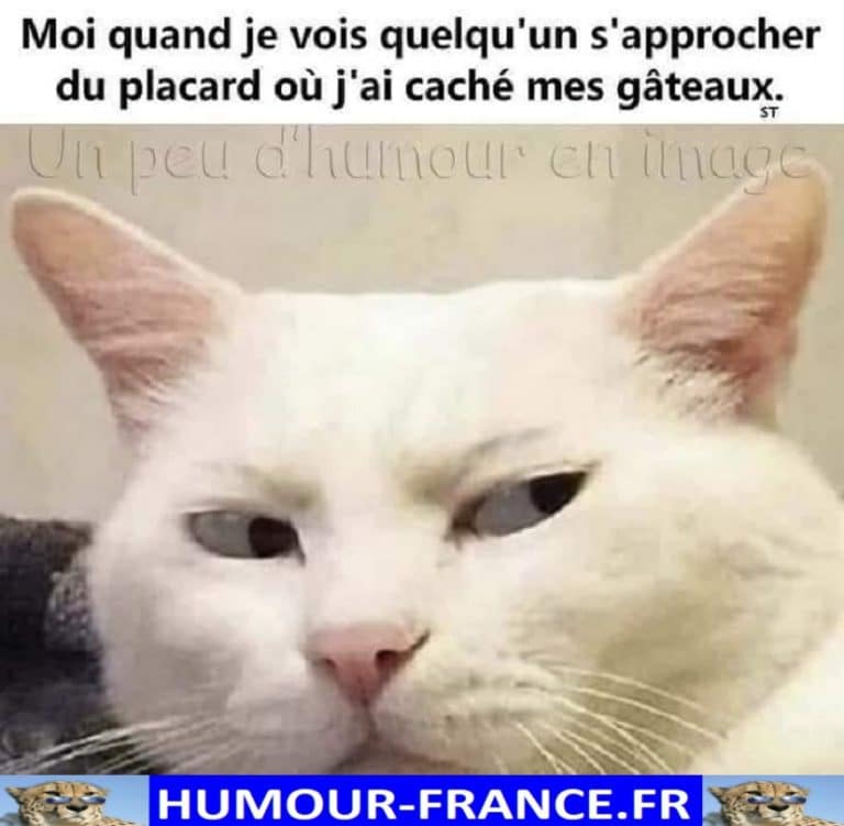 Moi quand je vois quelqu'un s'approcher du placard ou j'ai caché mes