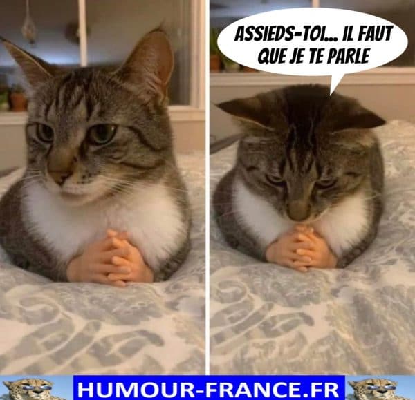 Assieds-toi … Il faut que je te parle. - Humour-France.fr