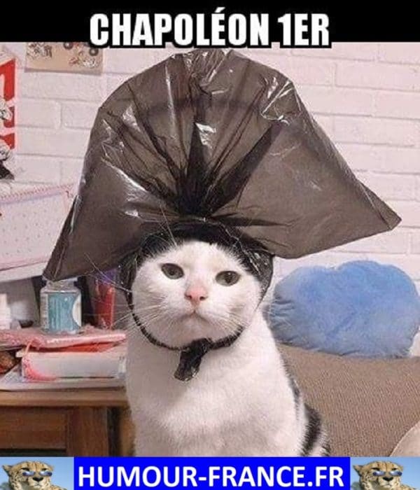 Chapoléon 1er. - Humour-France.fr