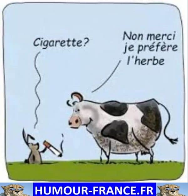 Cigarette ? - Humour-France.fr