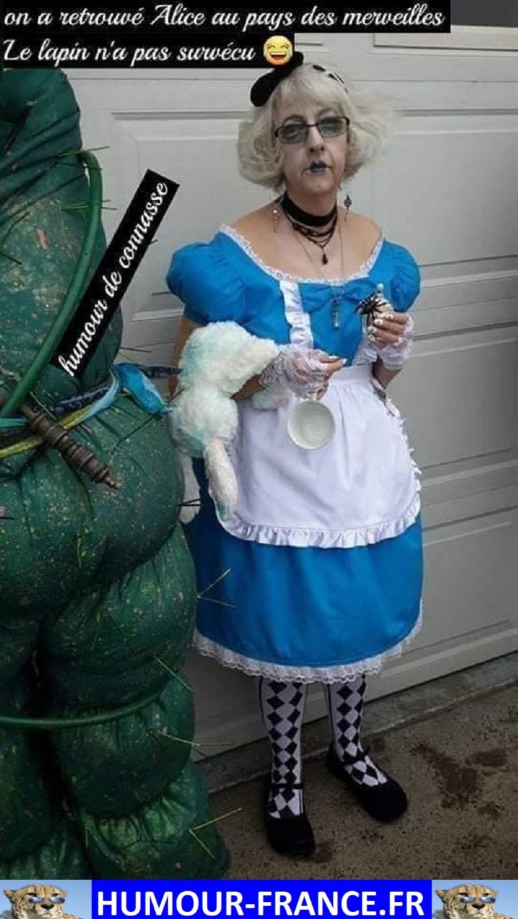 On à retrouvé Alice au pays des merveilles. Le lapin n'a pas survécu.