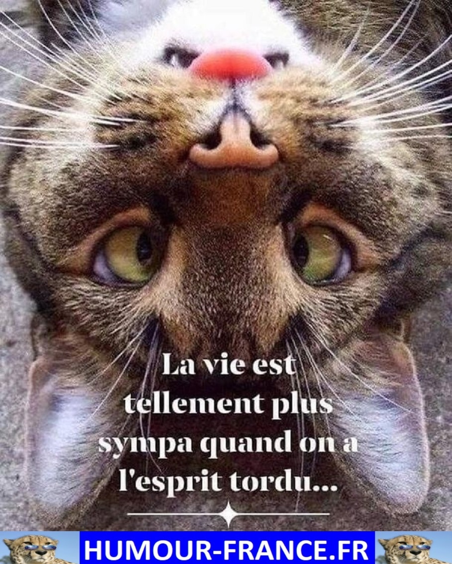 La vie est tellement plus sympas quand on a l'esprit tordu