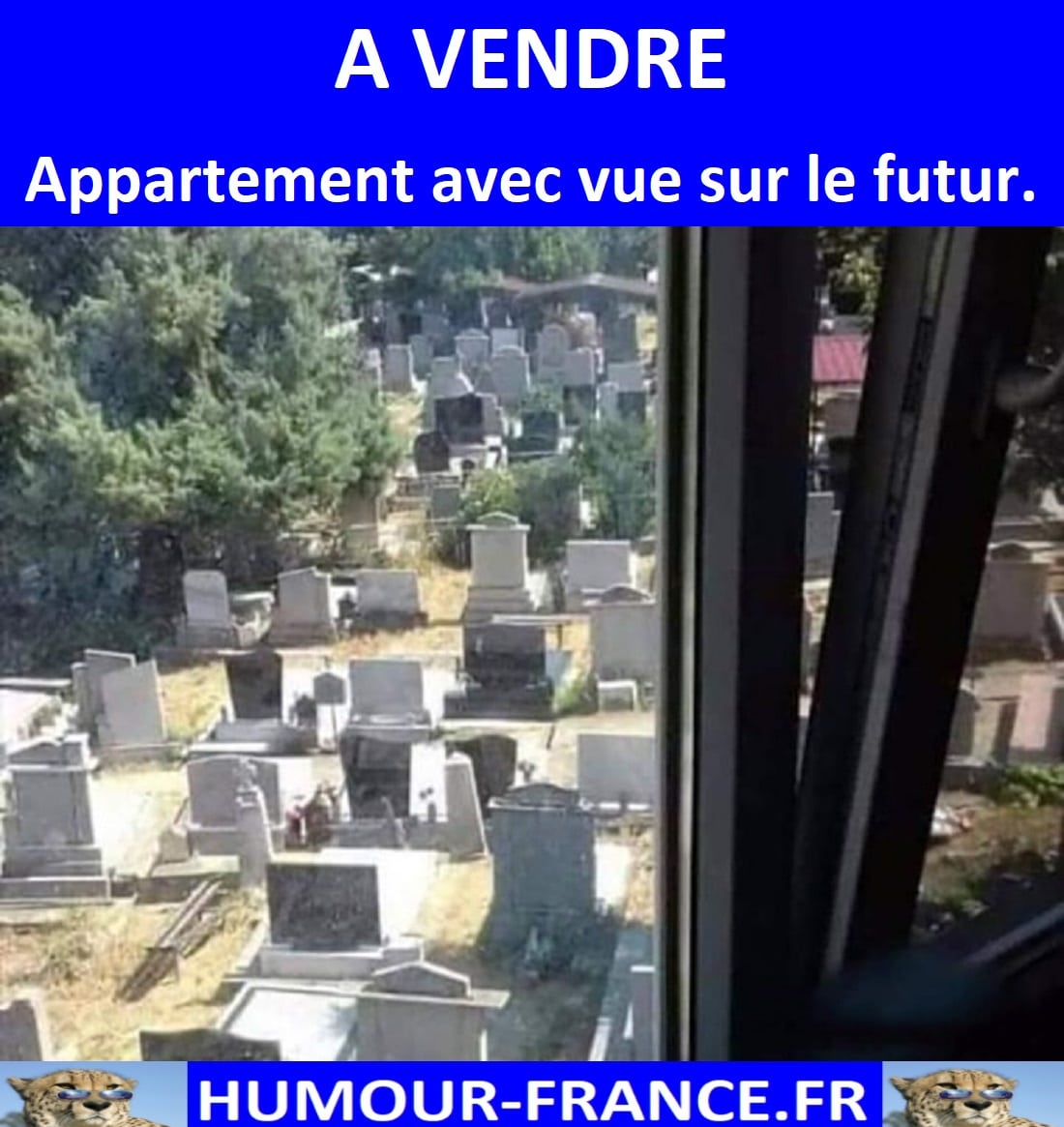 A vendre : Appartement avec vue sur le futur. - Humour-France.fr
