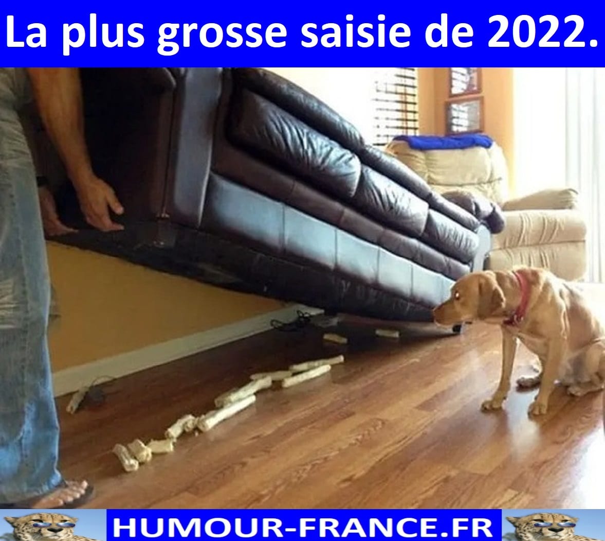La plus grosse saisie de 2022. - Humour-France.fr