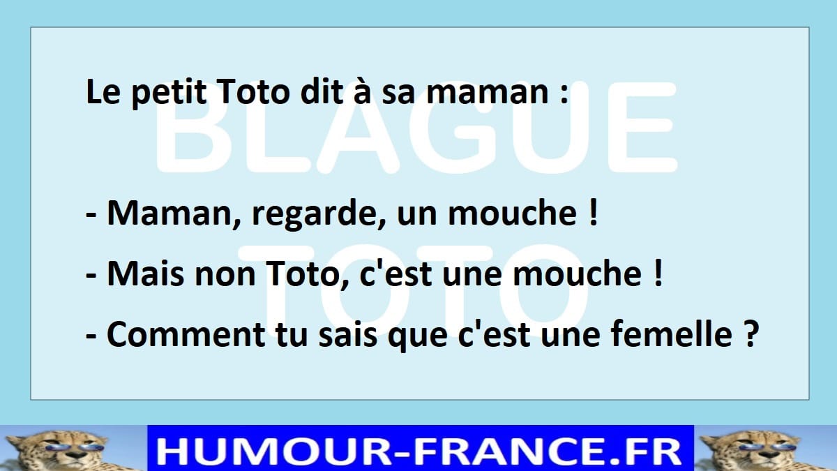 Blagues-Toto Archives - Humour-France.fr