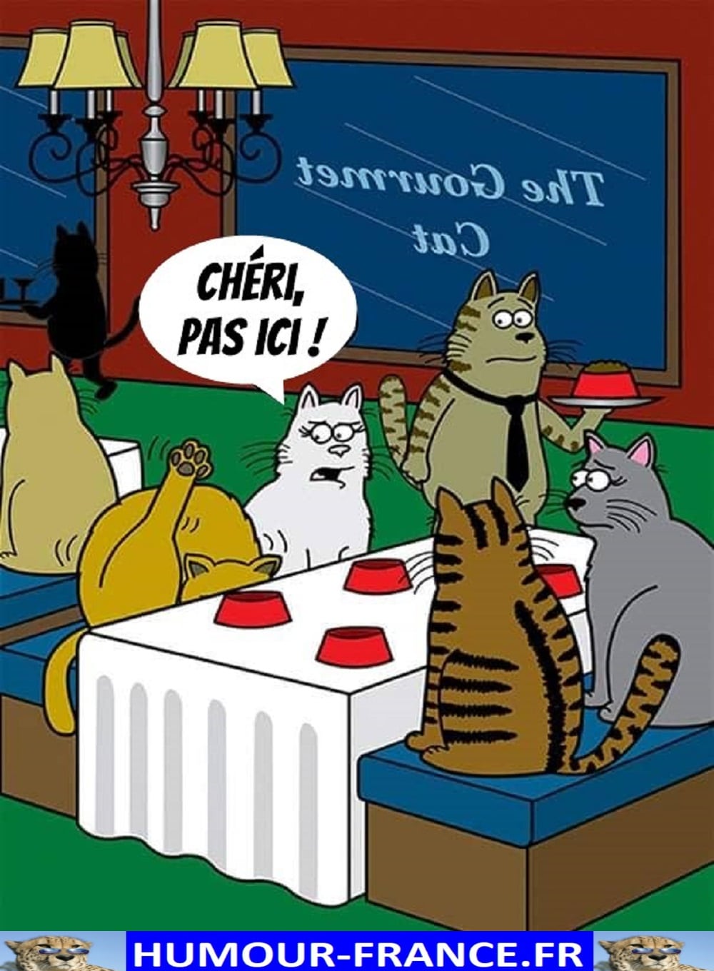 Accueil - Humour-France.fr De l'humour avec un grand H