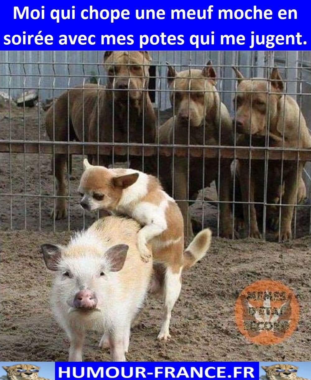 Moi qui chope une meuf moche en soirée avec mes potes qui me