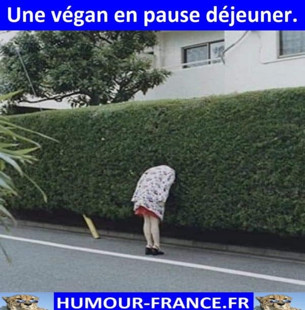Une végan en pause déjeuner. - Humour-France.fr