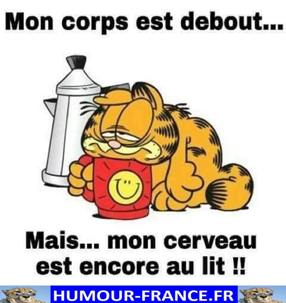 Accueil - Humour-France.fr De l'humour avec un grand H