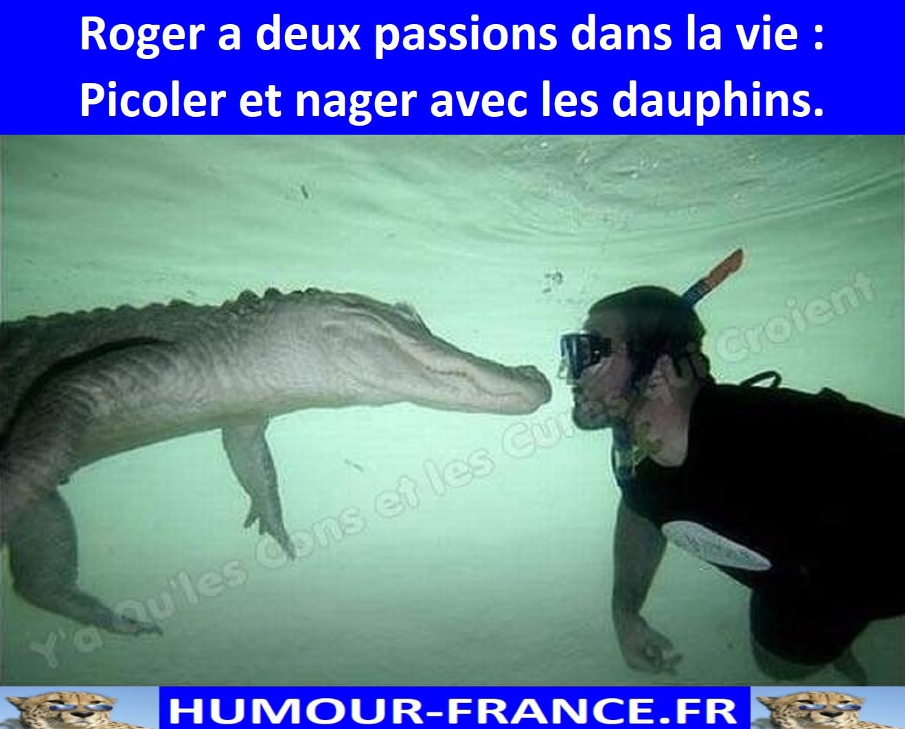 Roger a deux passions dans la vie Picoler et nager avec les