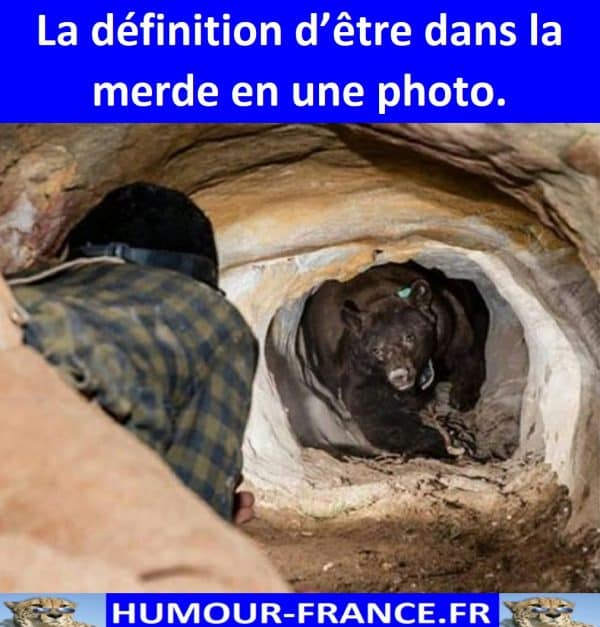 La définition d’être dans la merde en une photo. - Humour-France.fr