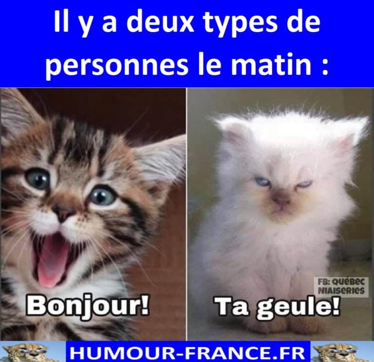 Il y a deux types de personnes le matin : - Humour-France.fr