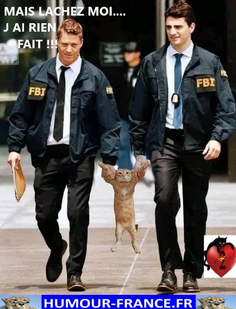 Mais lâchez moi … J'ai rien fait !!! - Humour-France.fr