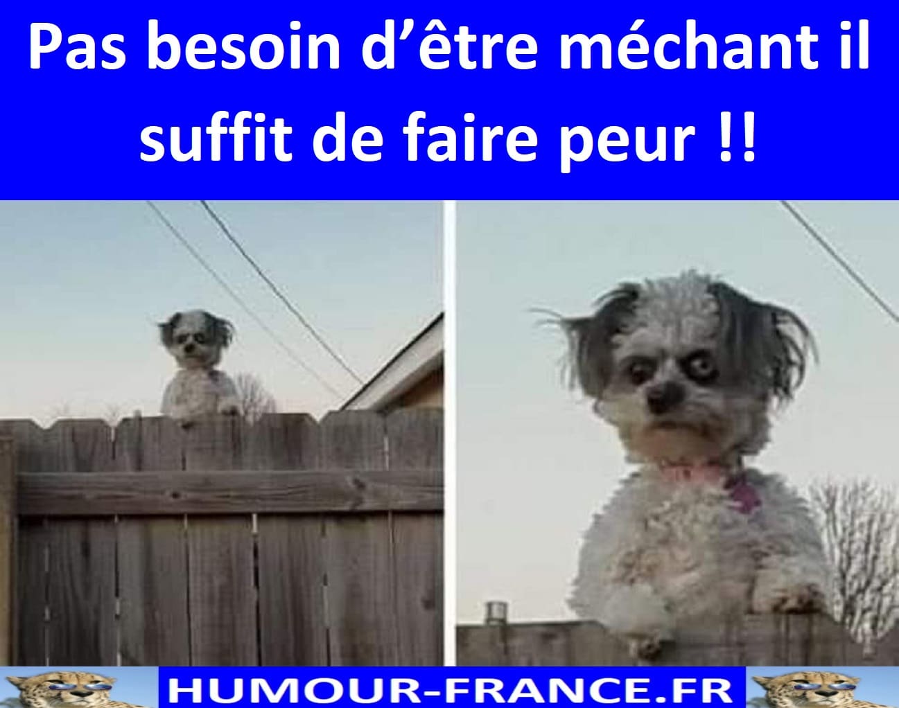 Pas besoin d’être méchant il suffit de faire peur