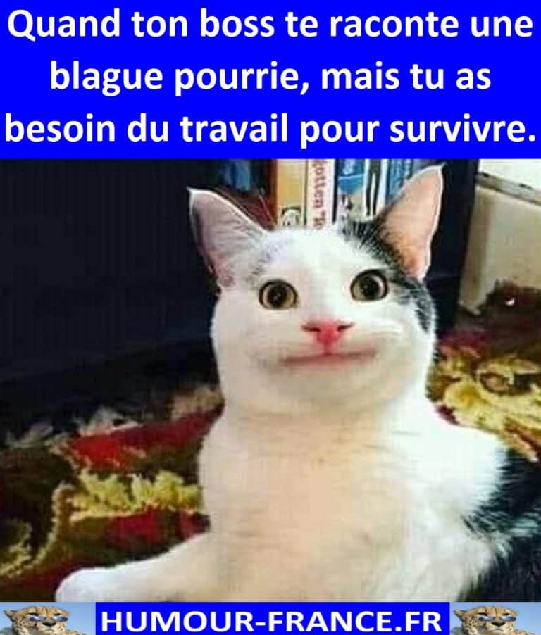 Quand ton boss te raconte une blague pourrie, mais tu as besoin