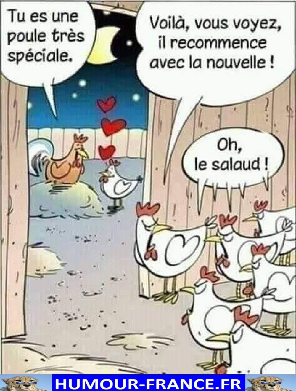 Tu es une poule très spéciale. - Humour-France.fr