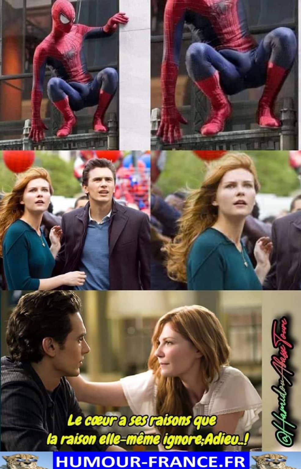 Le cœur a ses raisons que la raison elle-même ignore ; Adieu…