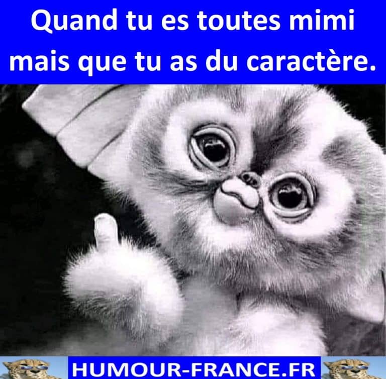 Quand tu es toutes mimi mais que tu as du caractère.