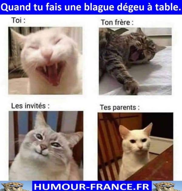 Quand tu fais une blague dégeu à table. - Humour-France.fr