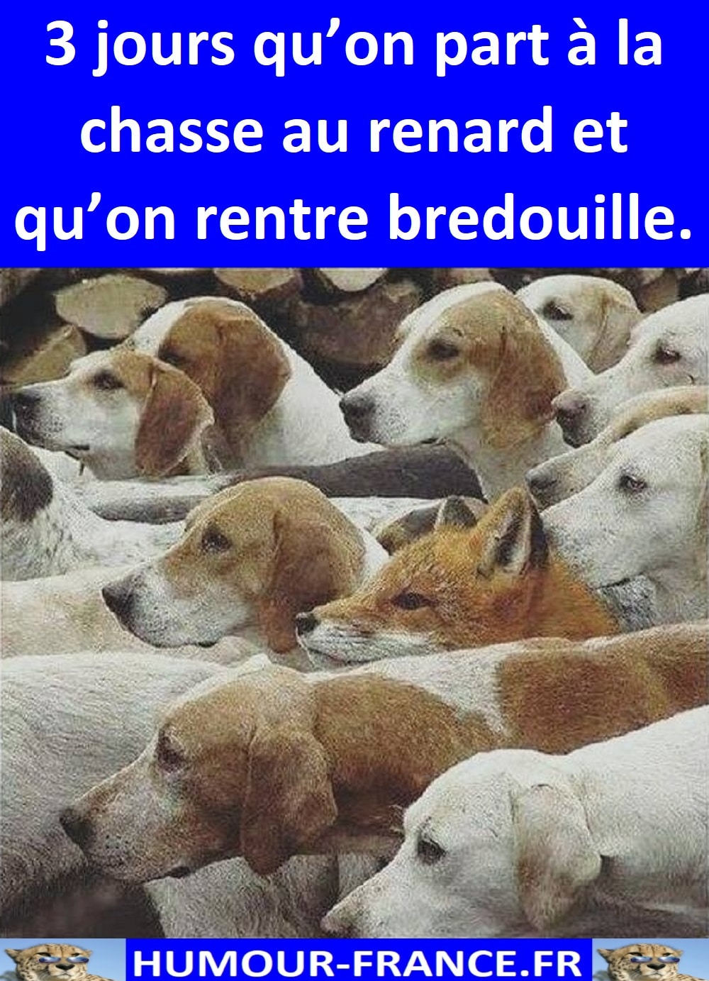 Accueil - Humour-France.fr De l'humour avec un grand H
