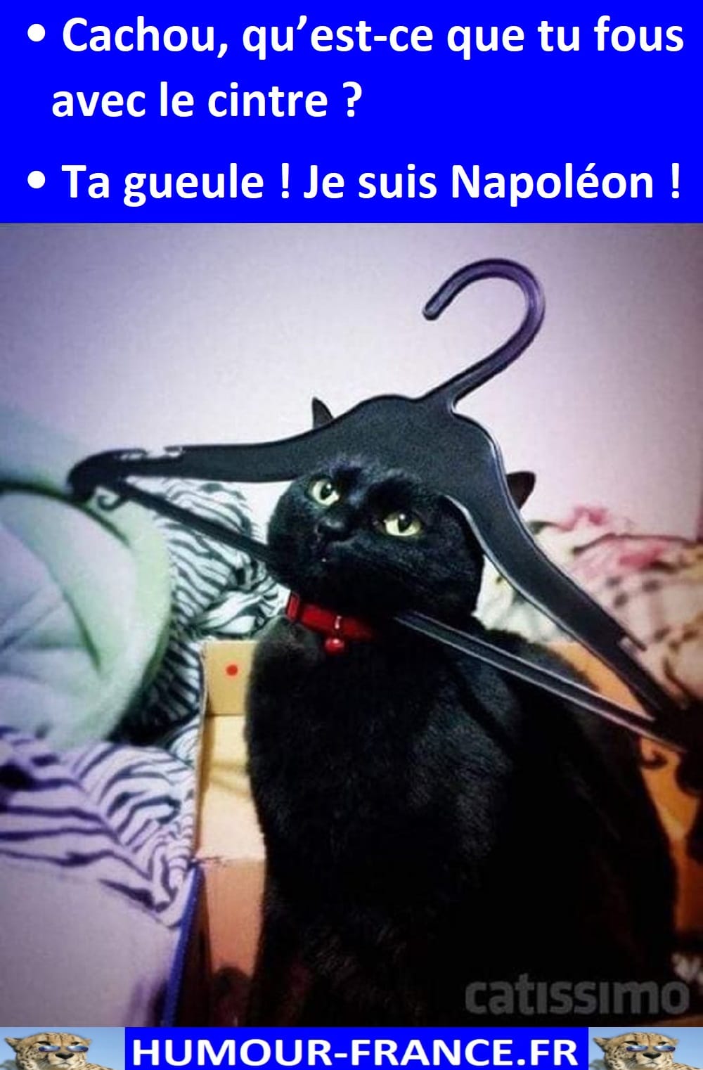 Cachou, qu’est-ce que tu fous avec le cintre ? - Humour-France.fr