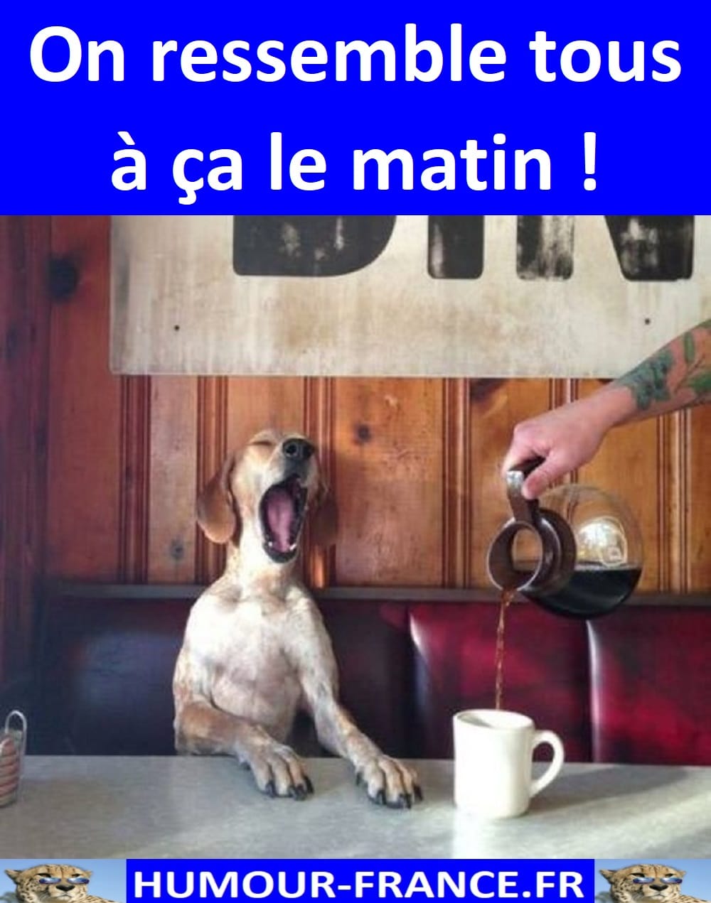 On ressemble tous à ça le matin ! - Humour-France.fr