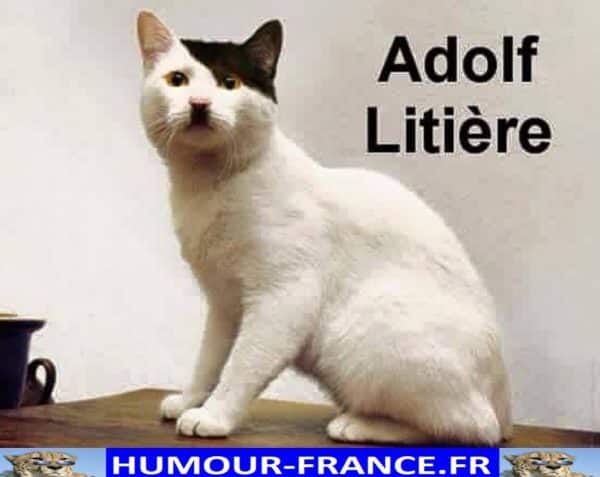 Adolf Litière. - Humour-France.fr