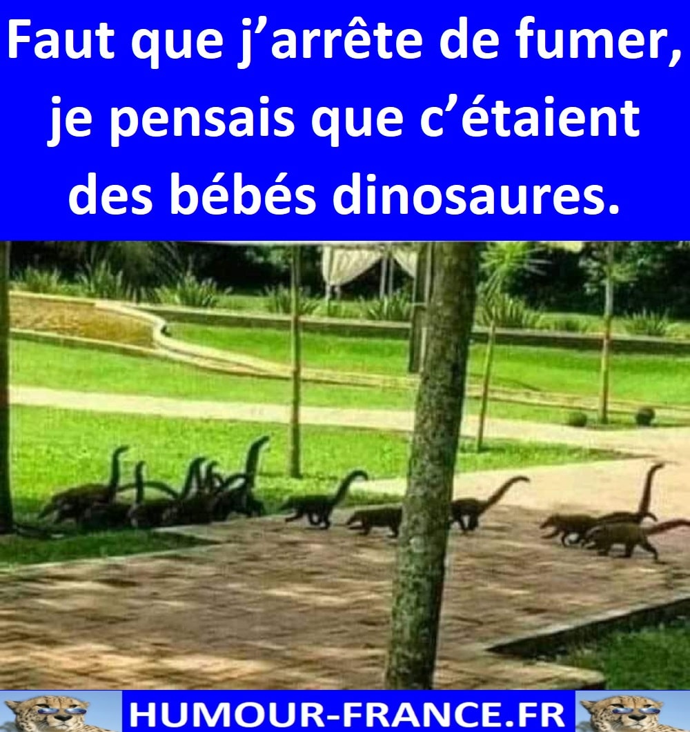 Faut que j’arrête de fumer, je pensais que c’étaient des bébés