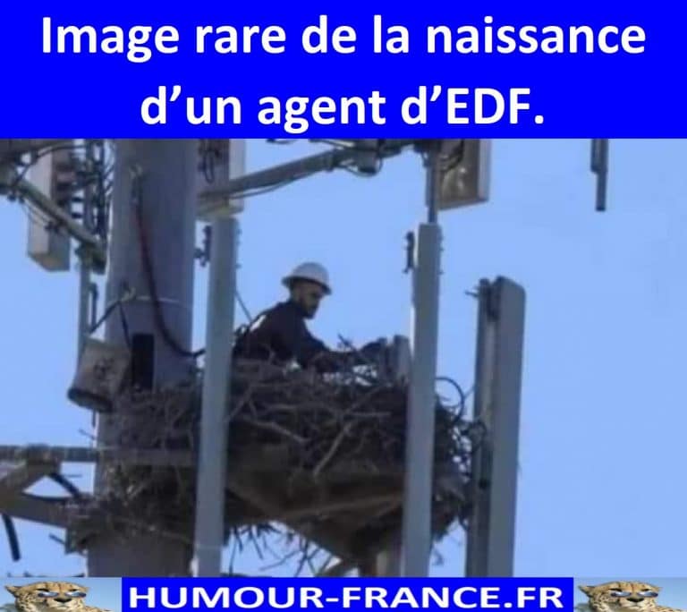 Image rare de la naissance d’un agent d’EDF. - Humour-France.fr