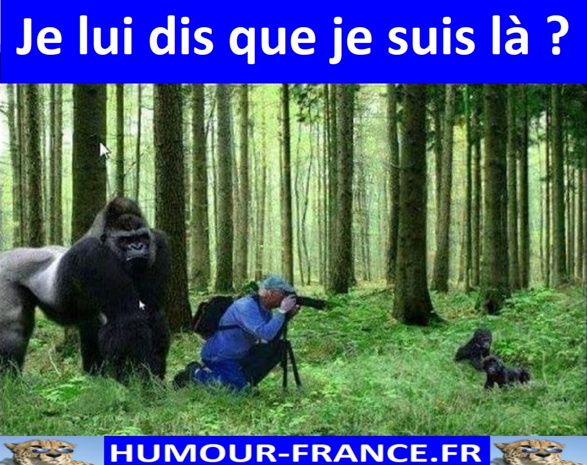 Je lui dis que je suis là ? - Humour-France.fr