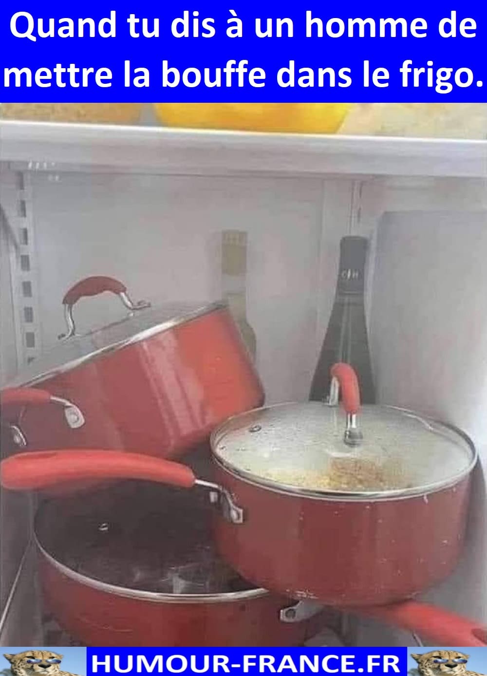 Quand tu dis à un homme de mettre la bouffe dans le frigo.