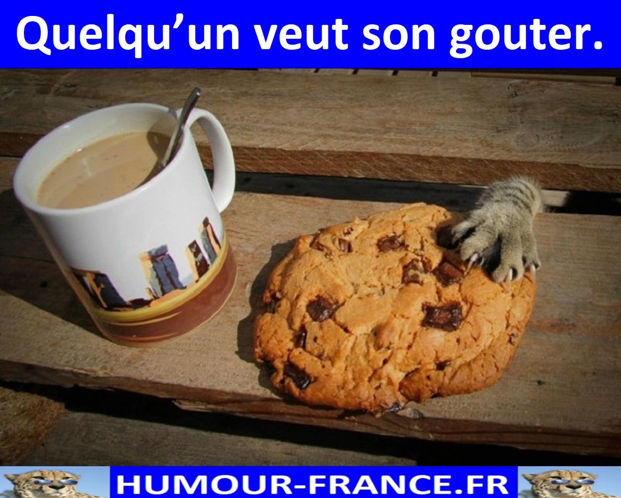 Quelqu’un veut son gouter. - Humour-France.fr