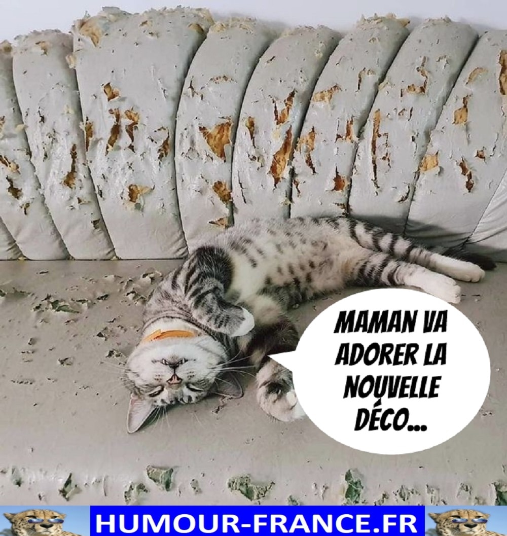 Maman va adorer la nouvelle déco … - Humour-France.fr