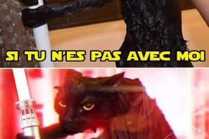 Si tu n’es pas avec moi. Alors, tu es contre moi