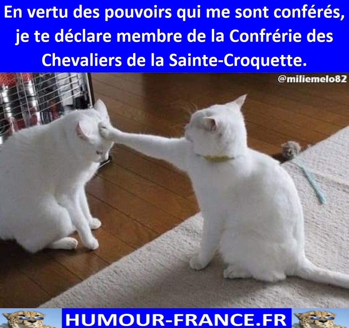 En vertu des pouvoirs qui me sont conférés, je te déclare membre