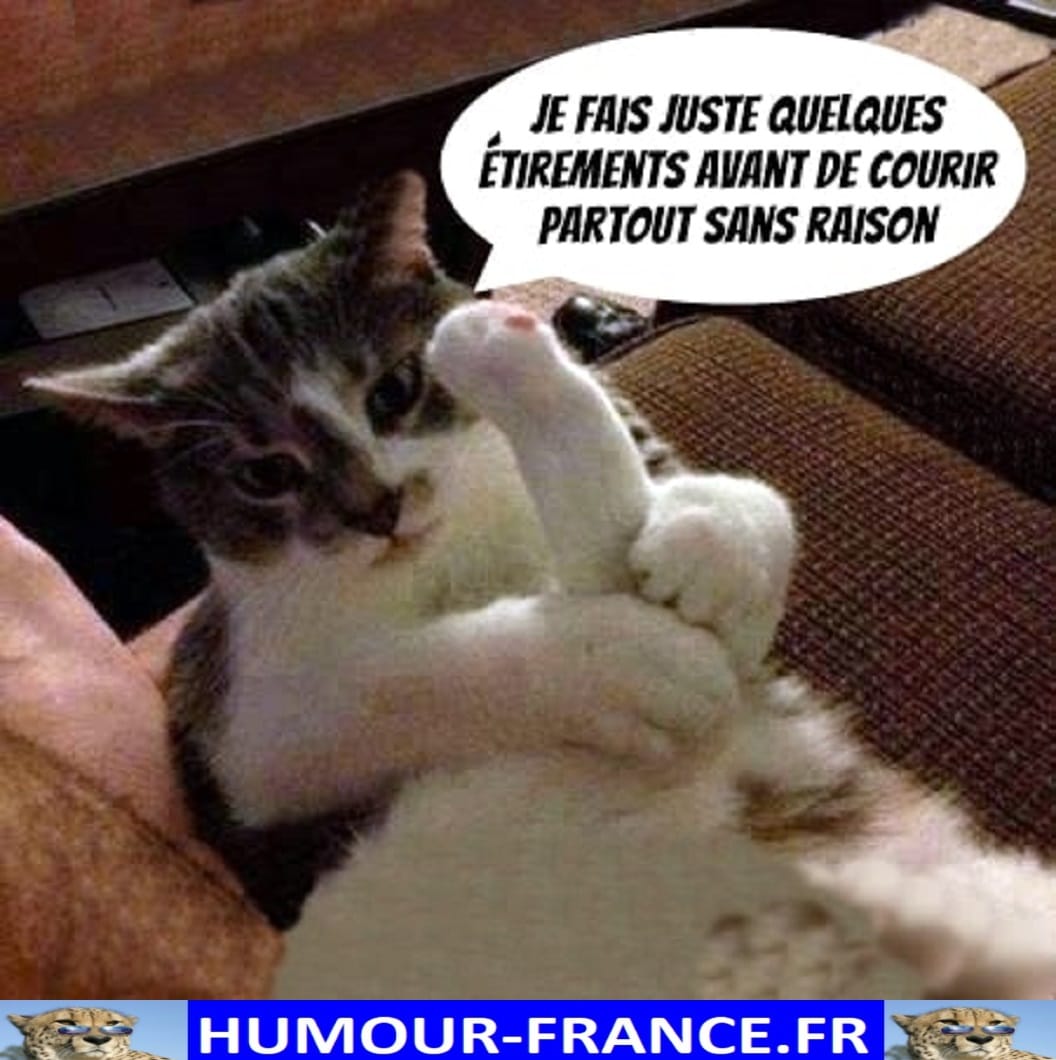 Je fais juste quelques étirements avant de courir partout sans