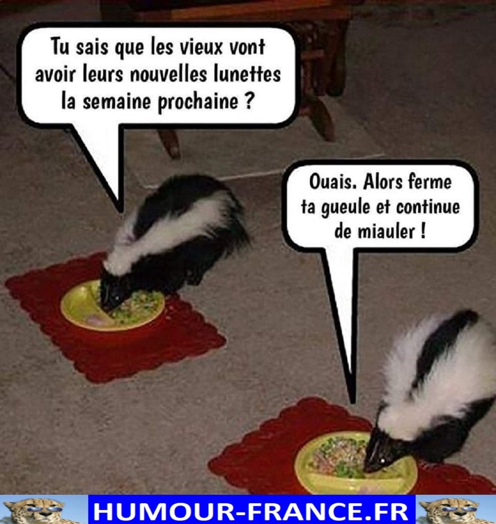 Tu sais que les vieux vont avoir leurs nouvelles lunettes la semaine