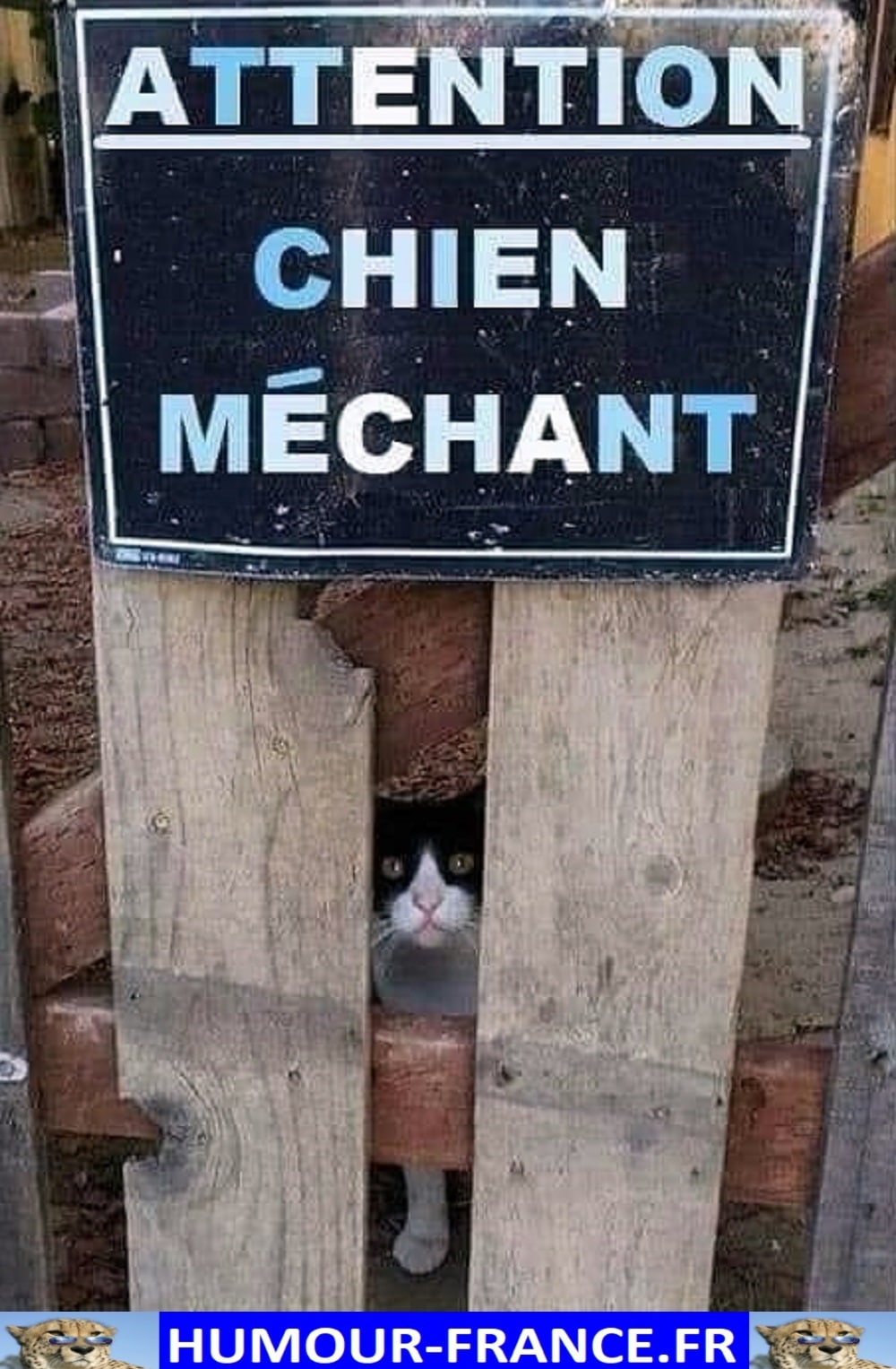 Attention chien méchant. - Humour-France.fr