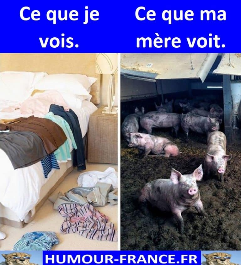 Ce que je vois. Ce que ma mère voit. - Humour-France.fr