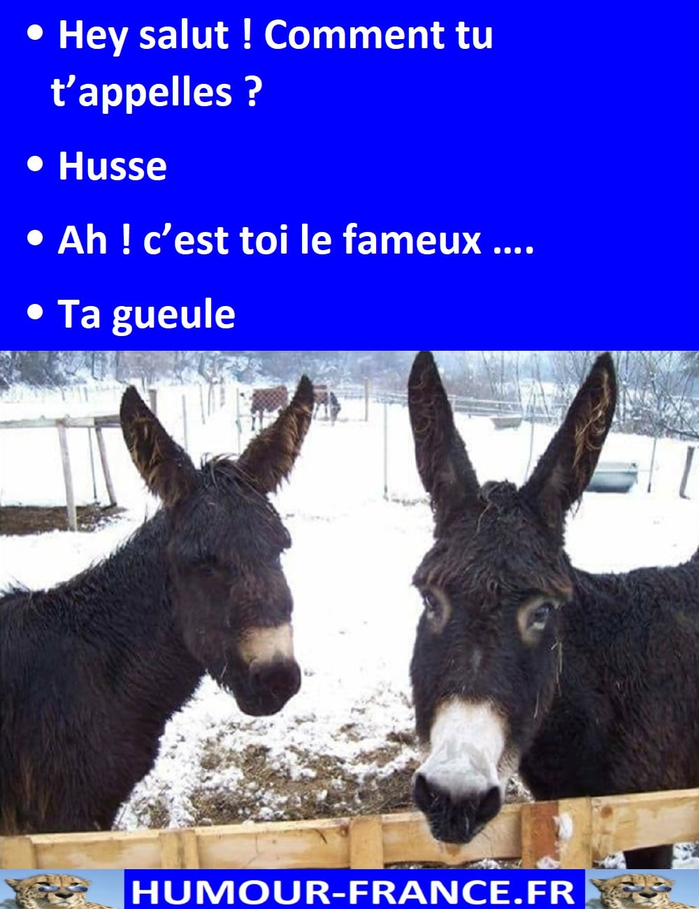 Hey salut ! Comment tu t’appelles ? - Humour-France.fr